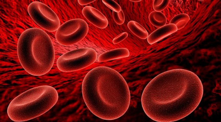 The high-resolution platform can be tuned for a point-of-care screening ...